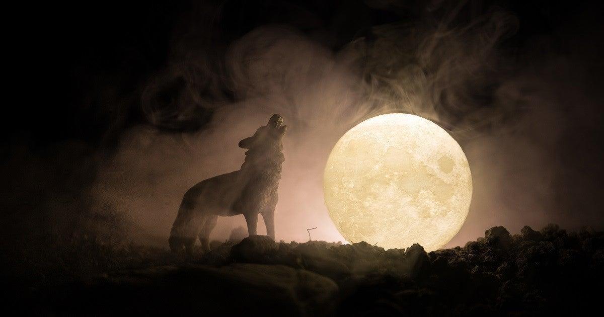 'Cocaine Werewolf' Horror Movie in the Works - PopCulture.com