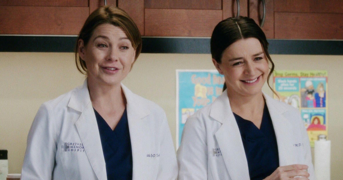 'Grey's Anatomy' Hints at New Romance and Career Opportunities for Fan ...