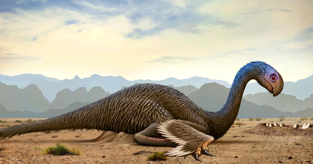 Dinosaur Embryo Found Perfectly Preserved Inside Fossilized Egg From 66 ...