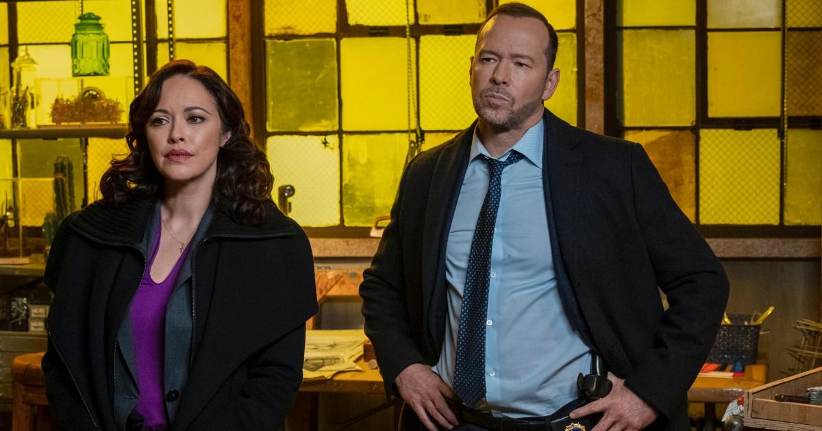 'Blue Bloods' Showrunner Explains Why Danny and Baez's Relationship ...