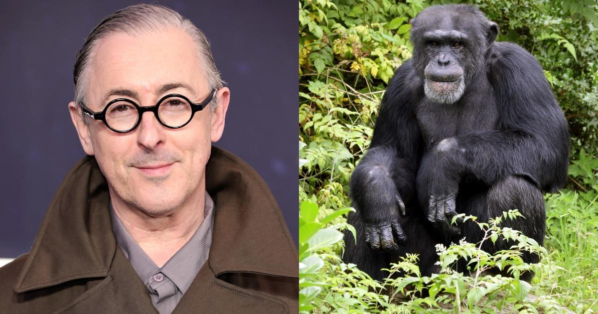 Mystery of Alan Cumming's Chimpanzee Co-Star From 'Buddy' Just Took a ...