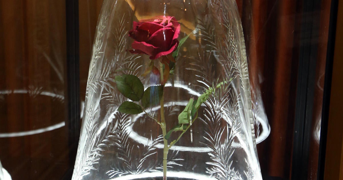 ABC Casts R&B Star as Belle in 'Beauty And the Beast' Special ...
