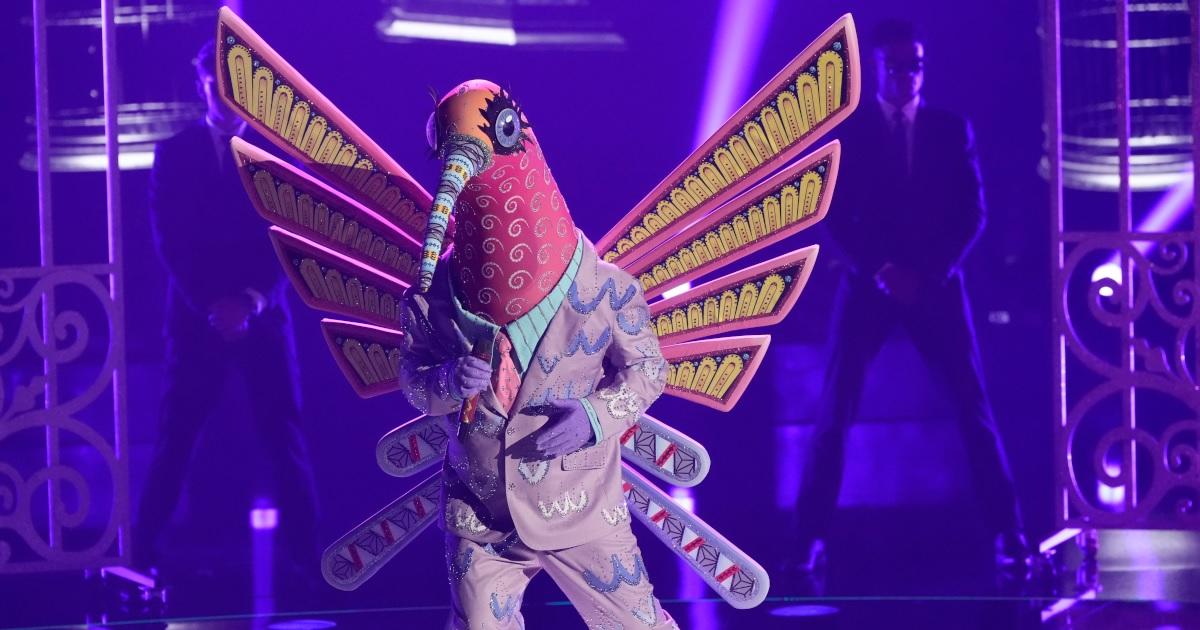 'The Masked Singer': Hummingbird Is a Boy Band Legend - PopCulture.com