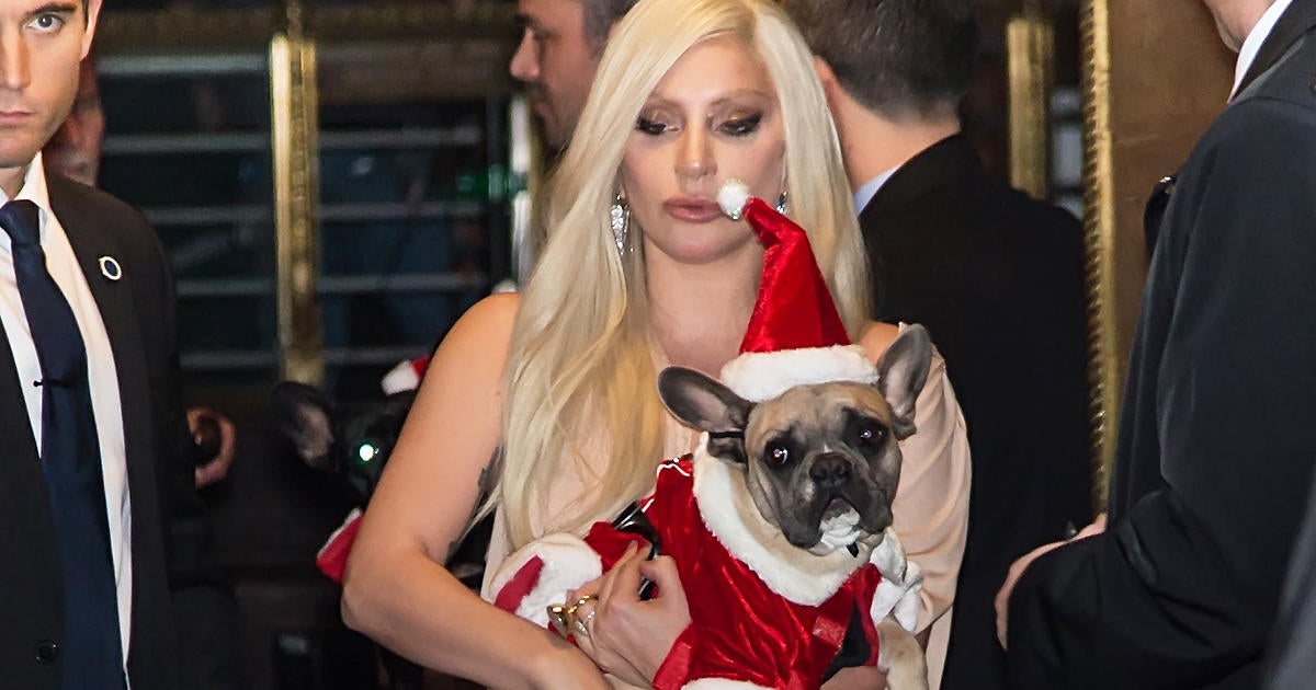Lady Gaga Dognapping Shooter Sentenced to More Than 2 Decades in Prison ...