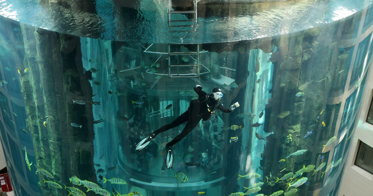 World's Largest Aquarium Explodes, Killing Thousands of Fish and ...