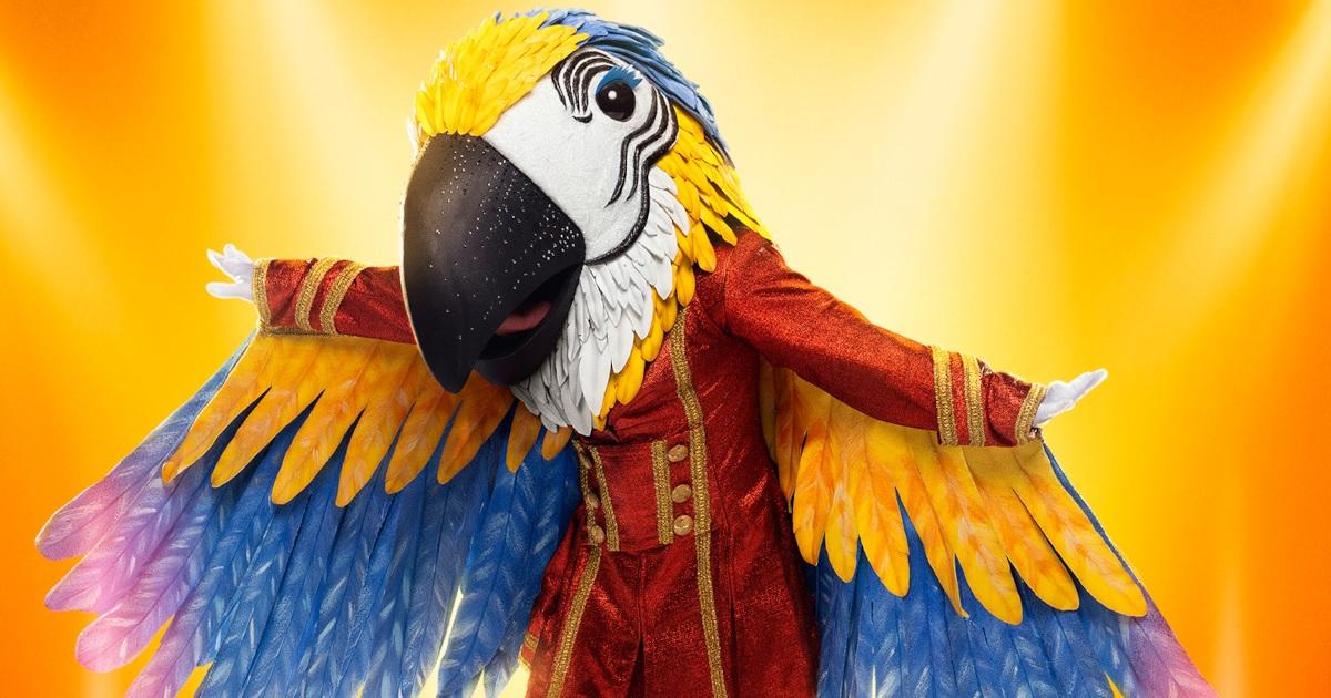 'The Masked Singer': Who Is Macaw? - PopCulture.com