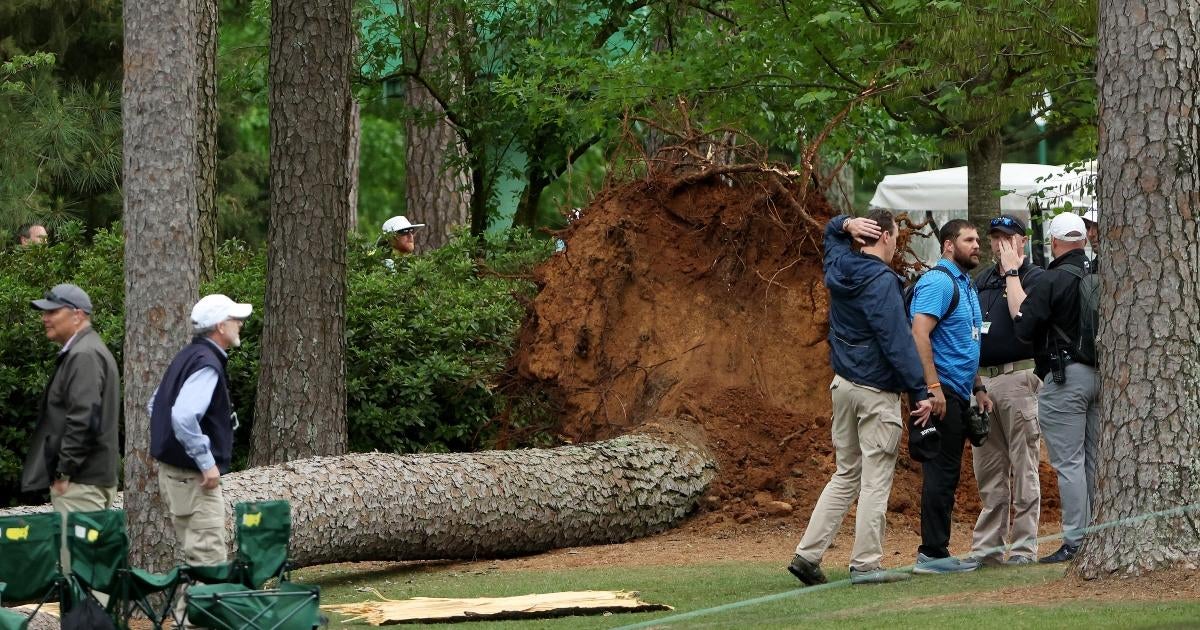 2023 Masters: Trees Fall During Play at Augusta National - PopCulture.com