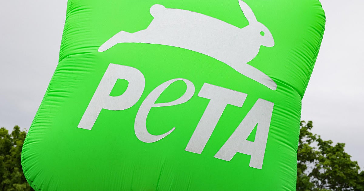 PETA Goes After Budweiser for Clydesdale Commercial - PopCulture.com