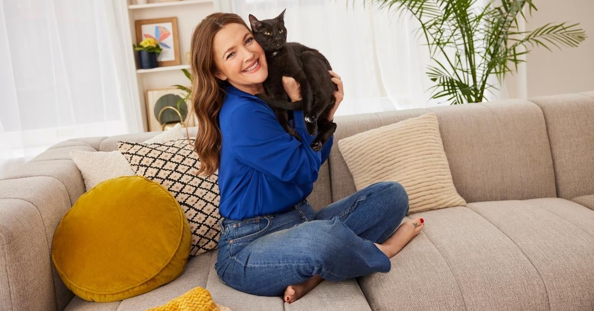 Drew Barrymore Talks Special Bond With Her Four Cats Exclusive