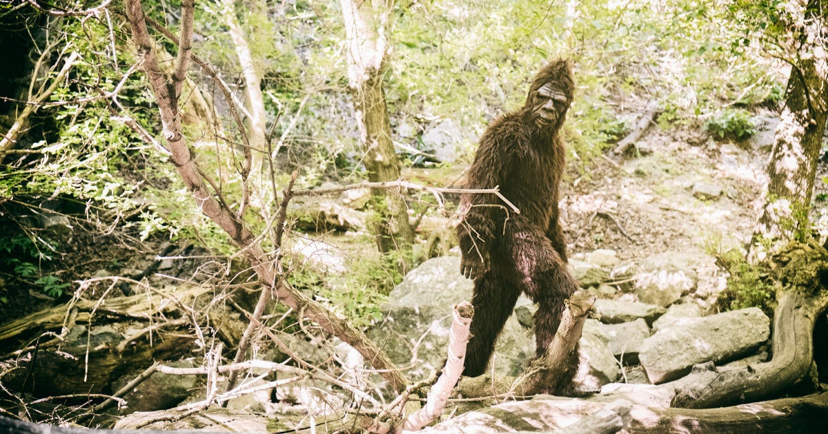 Viral Bigfoot Video Sparks Frenzy of Experts Analyzing Sighting ...