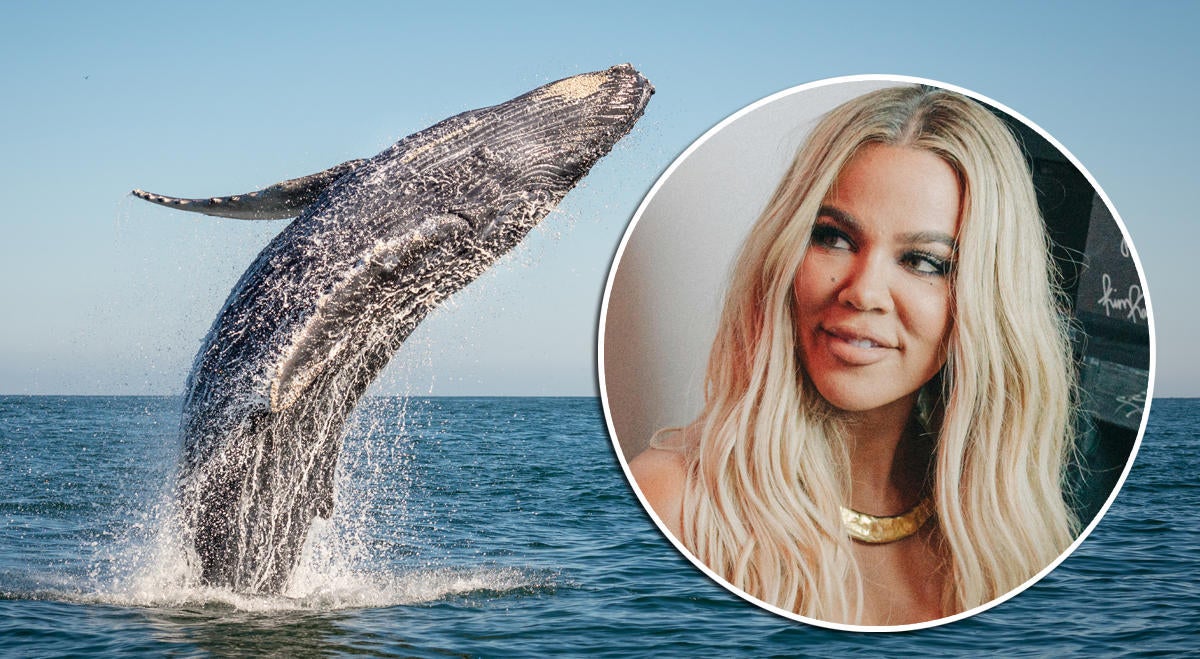 Khloe Kardashian Reveals a Phobia of the Ocean Many Can Relate To ...