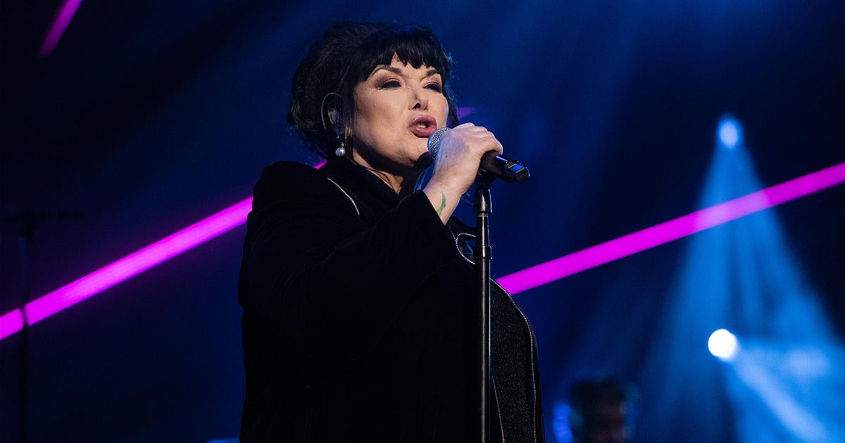 Heart's Ann Wilson Undergoes 'Time-Sensitive' Medical Procedure ...