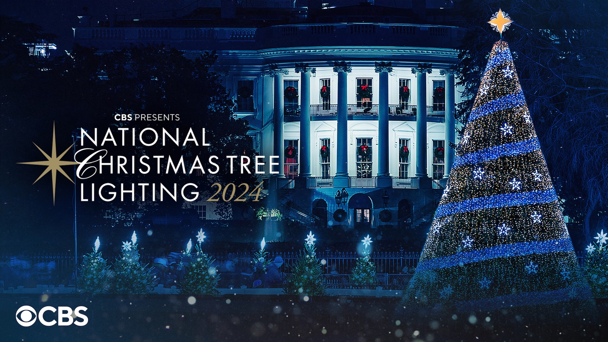 National Christmas Tree Lightning 2024 Date, Time and Channel Revealed ...