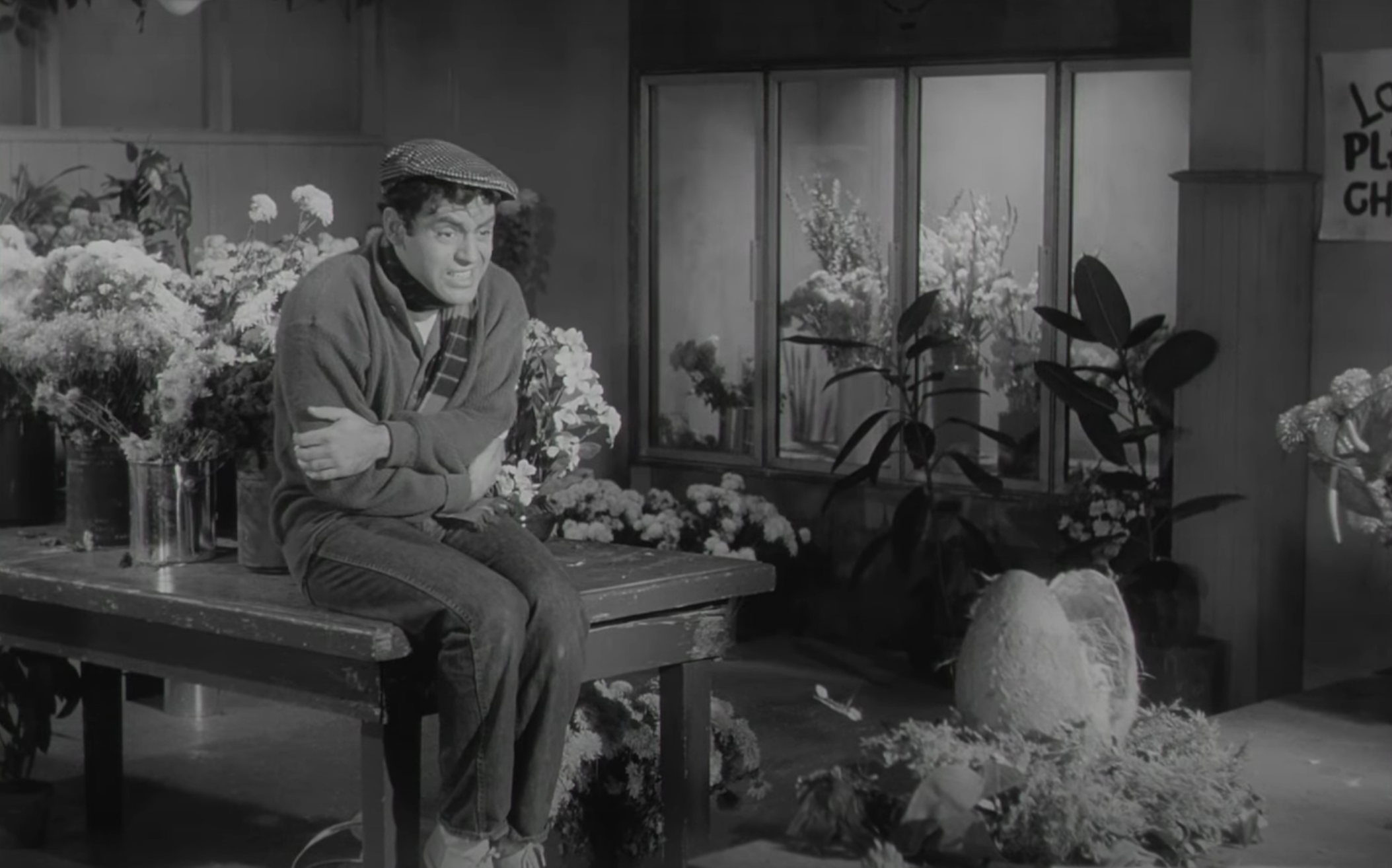 'The Little Shop of Horrors' Star Jonathan Haze Dead at 95 - PopCulture.com