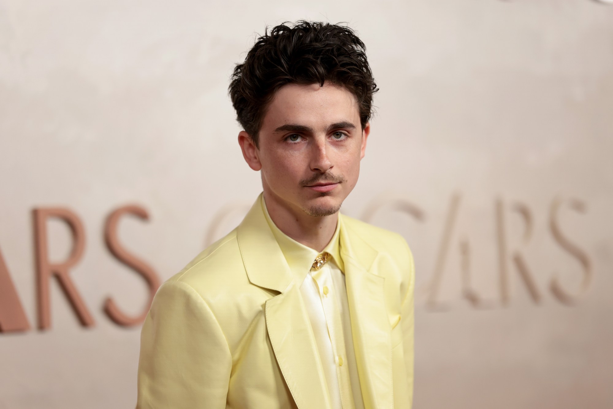 Timothée Chalamet's Yellow Oscars Suit Gets Compared to Iconic 'Curious ...