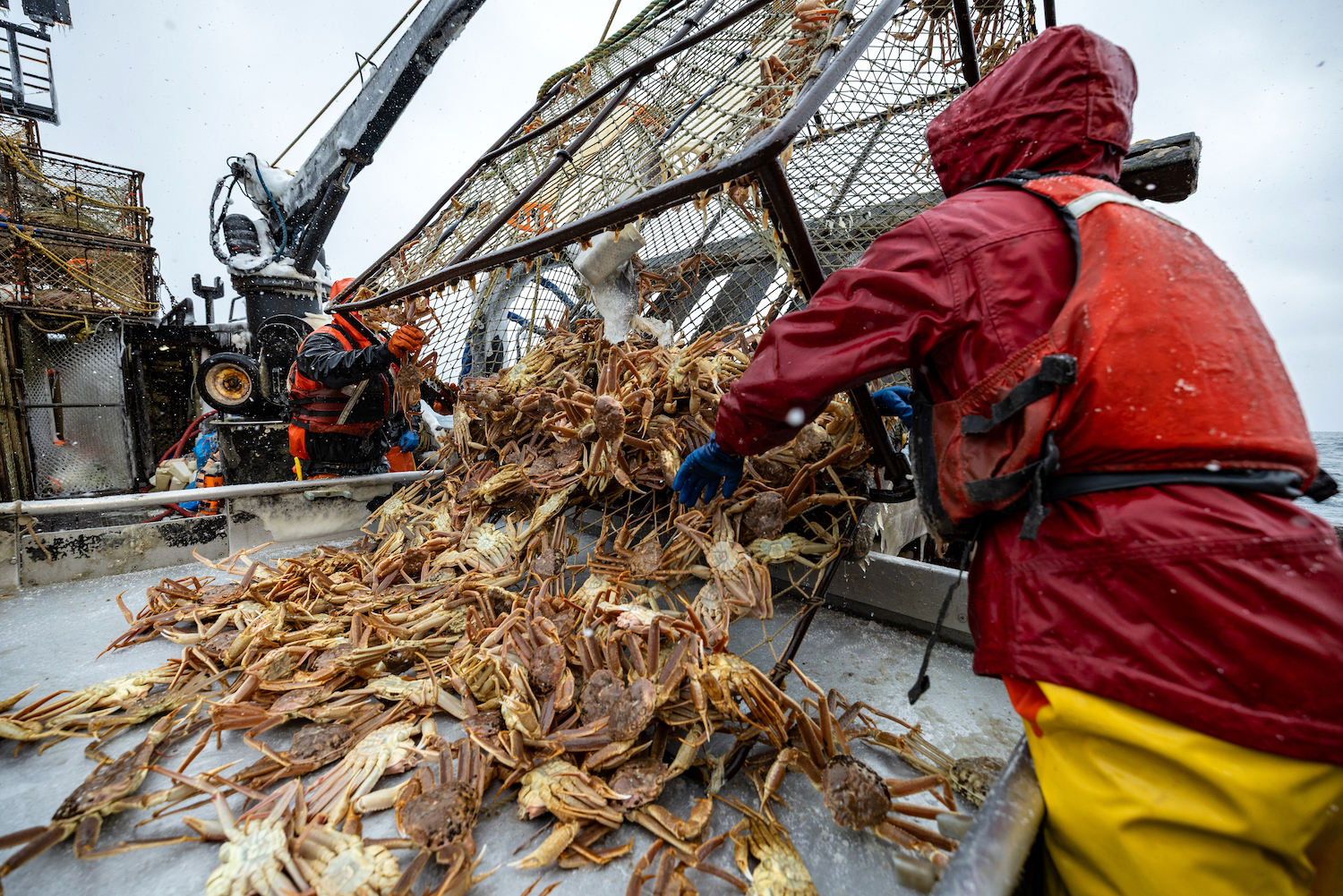 'Deadliest Catch' Season 21 Premiere Date Revealed - PopCulture.com