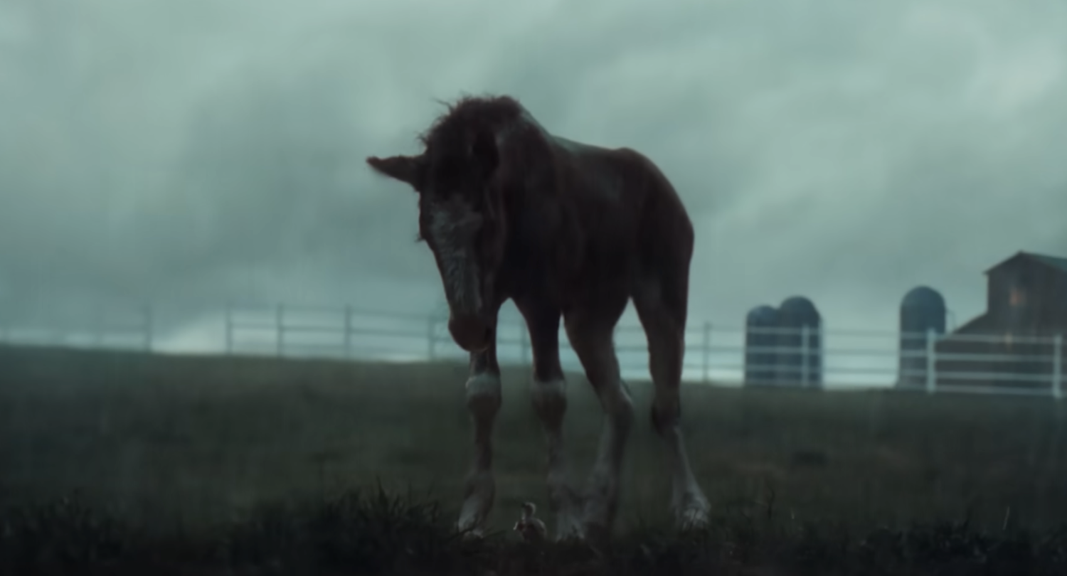 Budweiser Clydesdale Horse Commercial for Super Bowl 2026 Revealed ...