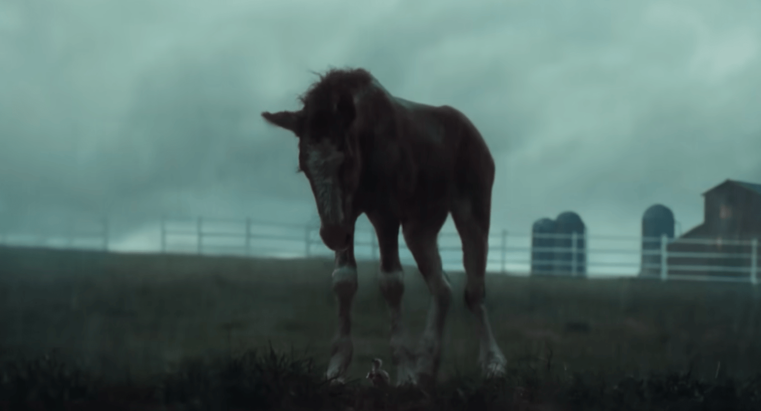 Budweiser Clydesdale Horse Commercial for Super Bowl 2026 Revealed ...